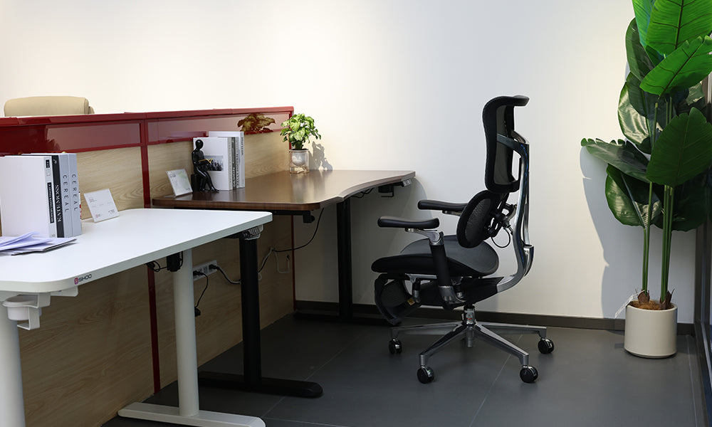 Optimizing Your Work-From-Home Setup with the Sihoo Doro S300 in 2025 ...